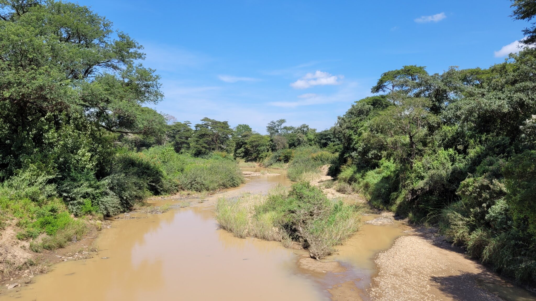 THE BUTTERFLY TREE REPORTS ITS SEVENTEENTH SUCCESSFUL YEAR